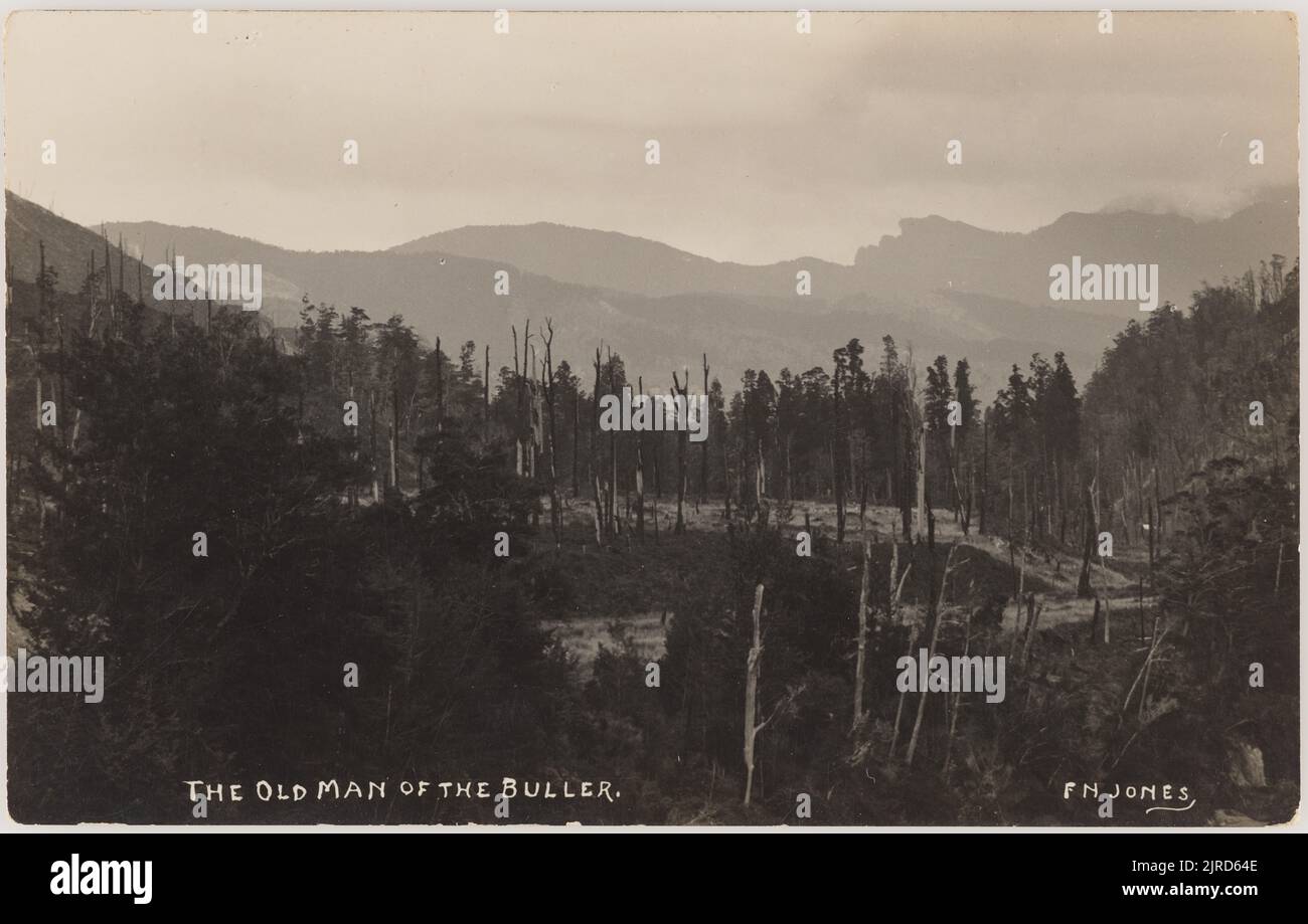 Old man of the buller hi-res stock photography and images - Alamy