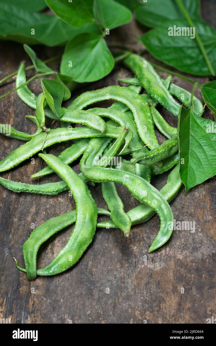 Papdi valor hi-res stock photography and images - Alamy