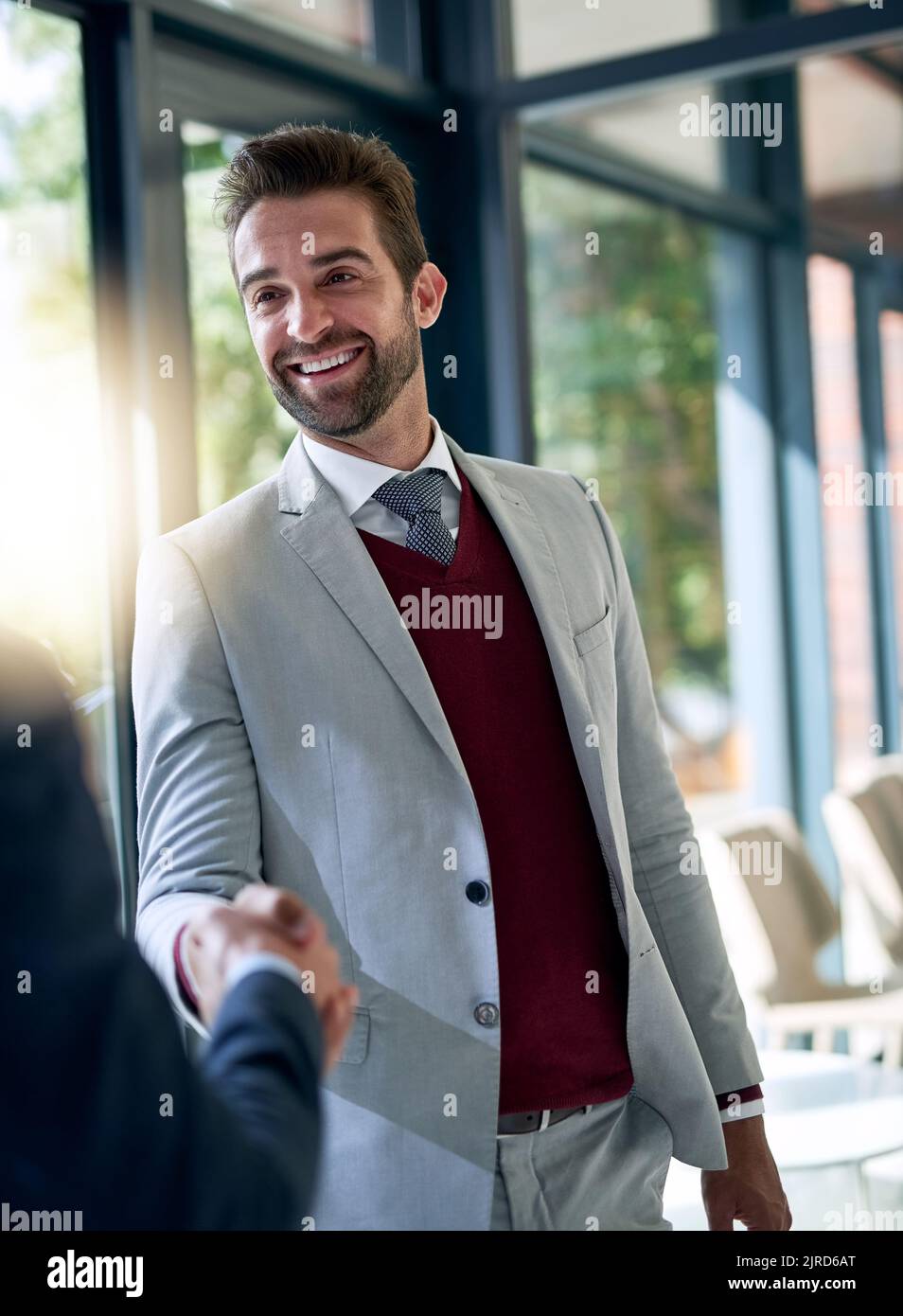 Formalizing the partnership. two businessmen shaking hands in a modern ...