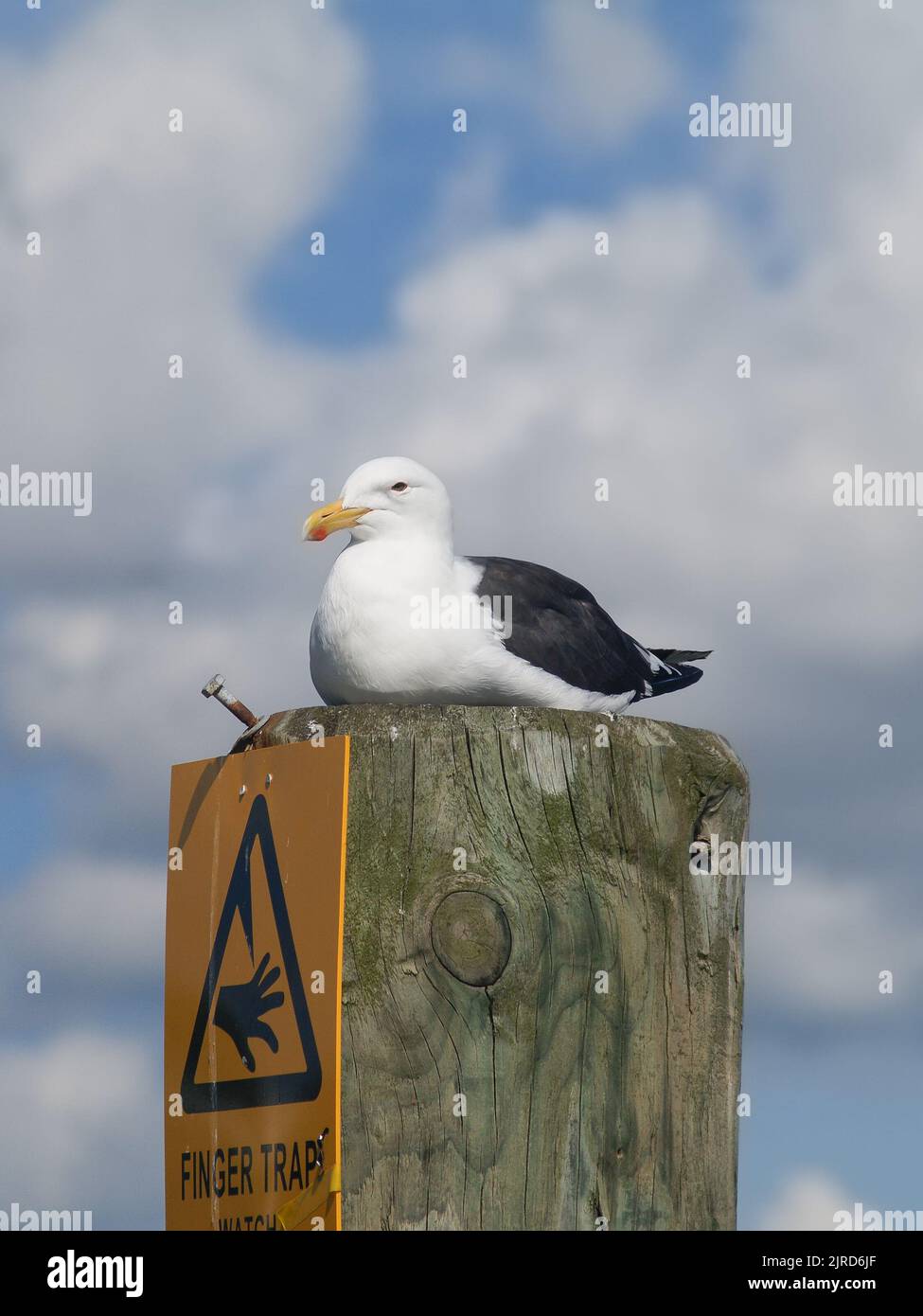Black and white finger post sign hi-res stock photography and images ...