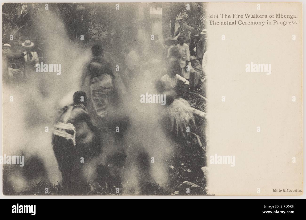 The Fire Walkers of Mbenga. The actual Ceremony in Progress., by Muir ...