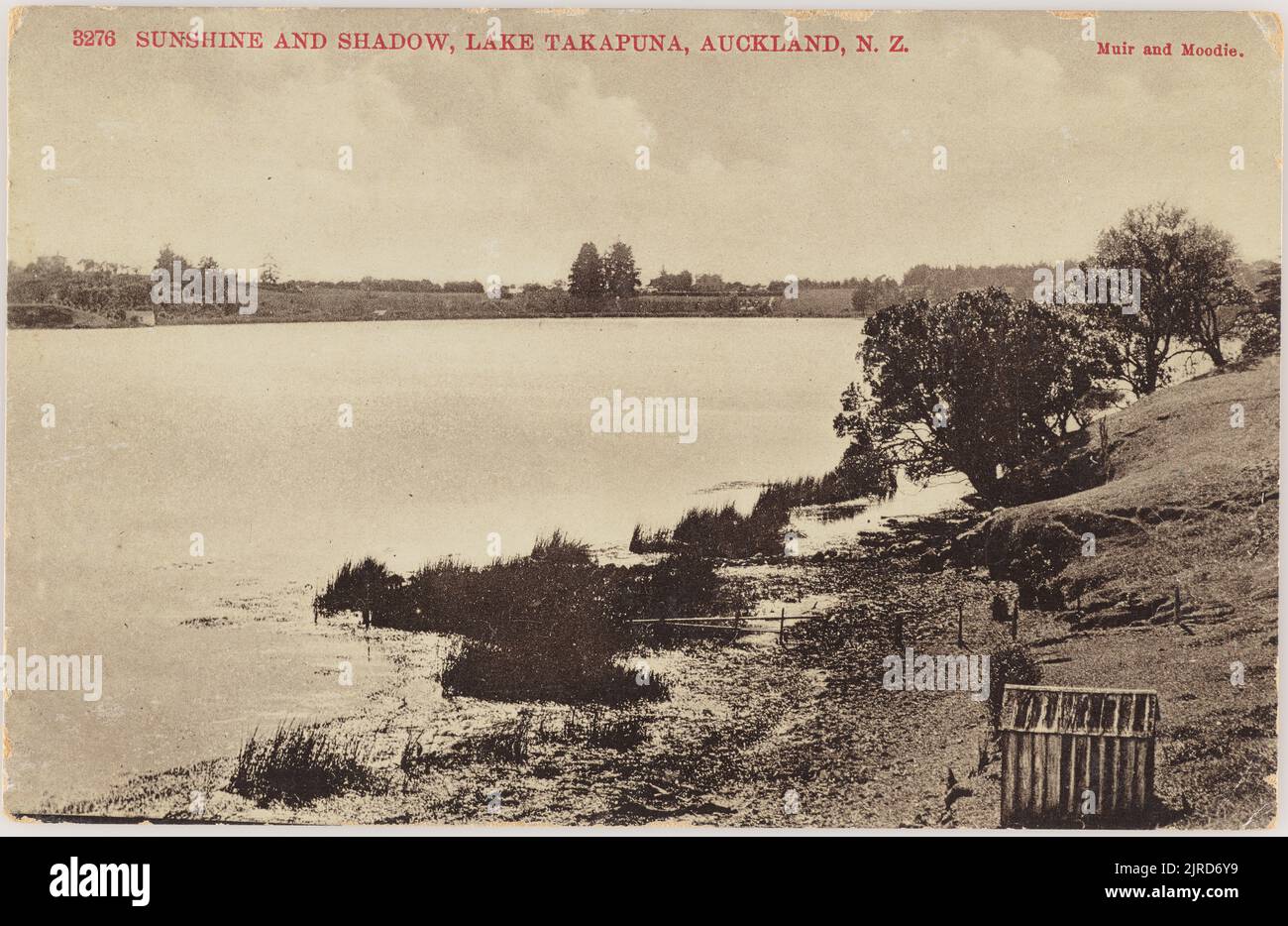 Sunshine and Shadow, Lake Takapuna, Auckland, N.Z. [Lake Pupuke], circa ...