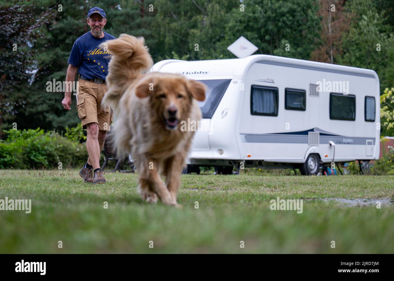 Waldcampingplatz hi-res stock photography and images - Alamy