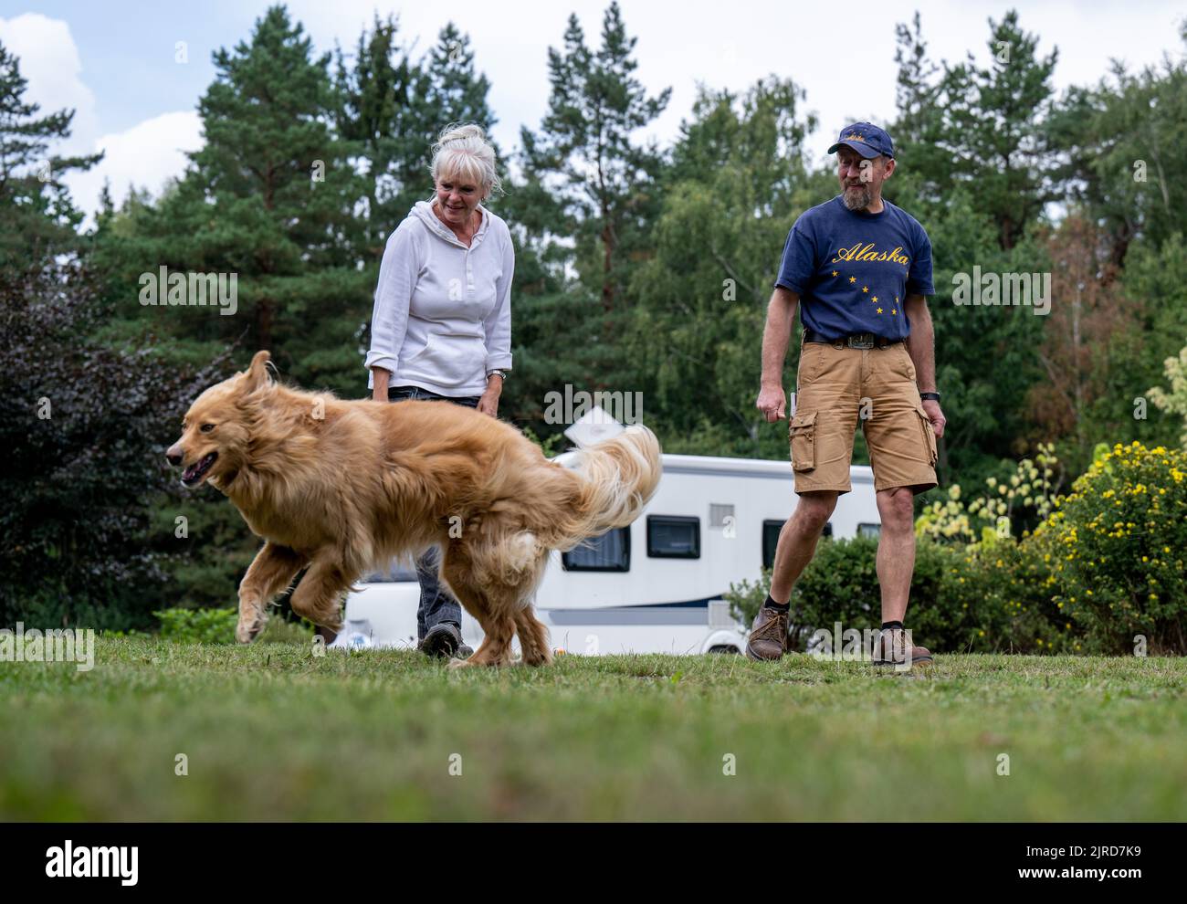 Waldcampingplatz hi-res stock photography and images - Alamy