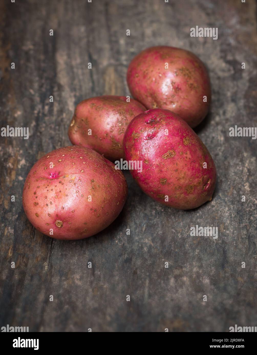 red pontiac potatoes, red-skinned, sweet and white fleshed vegetable on ...