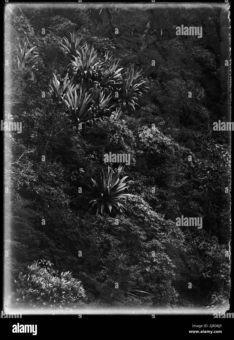 1923 1924 or 1925 tararua range Black and White Stock Photos & Images ...
