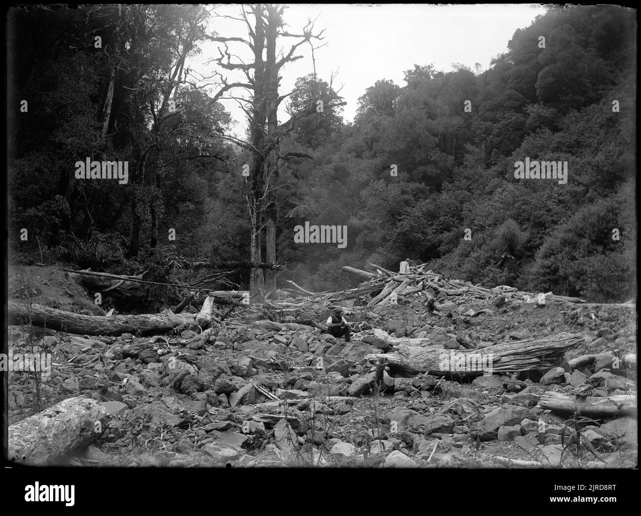 Tararuas tararuas hi-res stock photography and images - Alamy