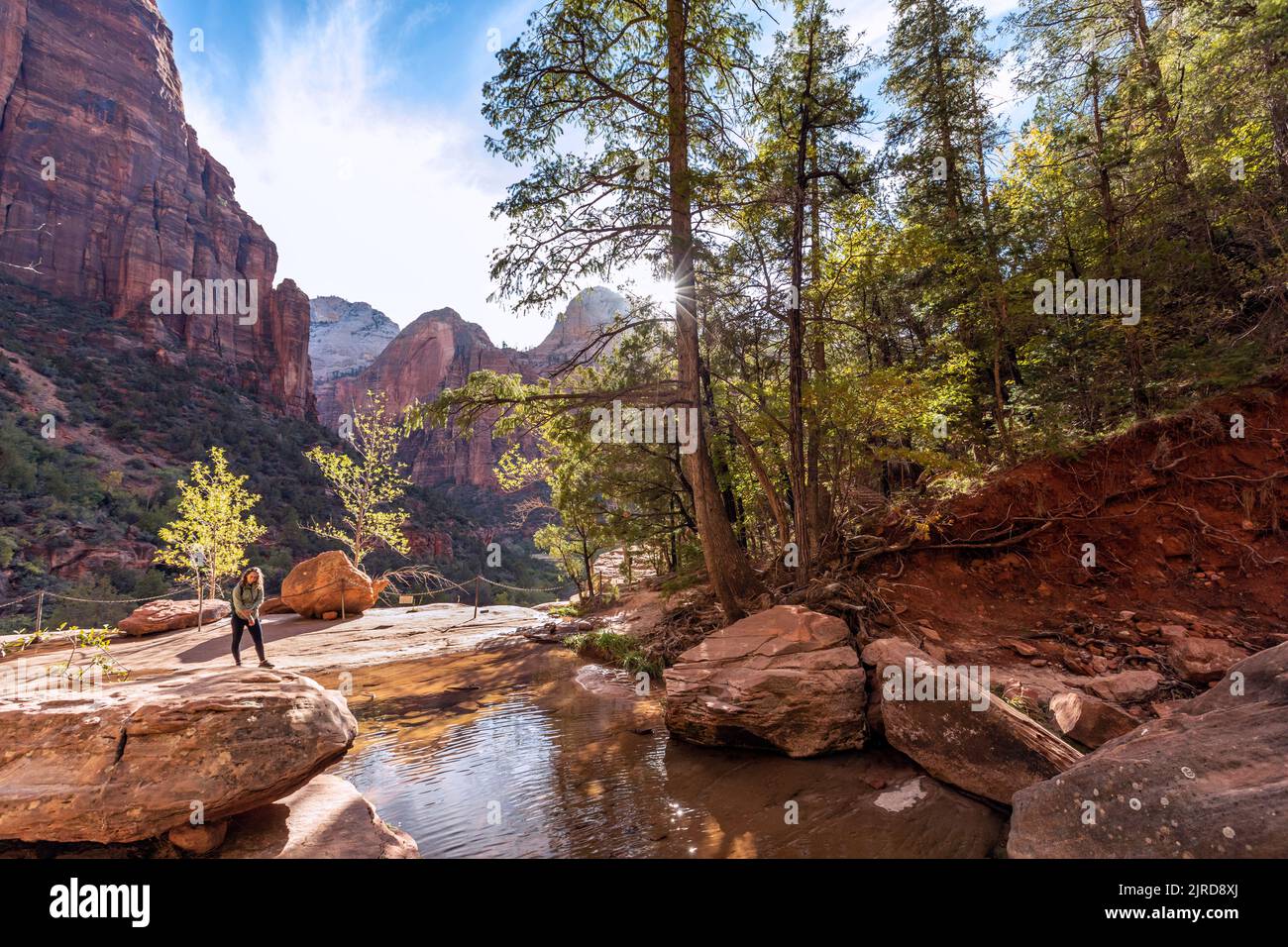 Scenic landscape from the Emerald Pools Trail in Zion National Park with a hiker Stock Photo - Alamy