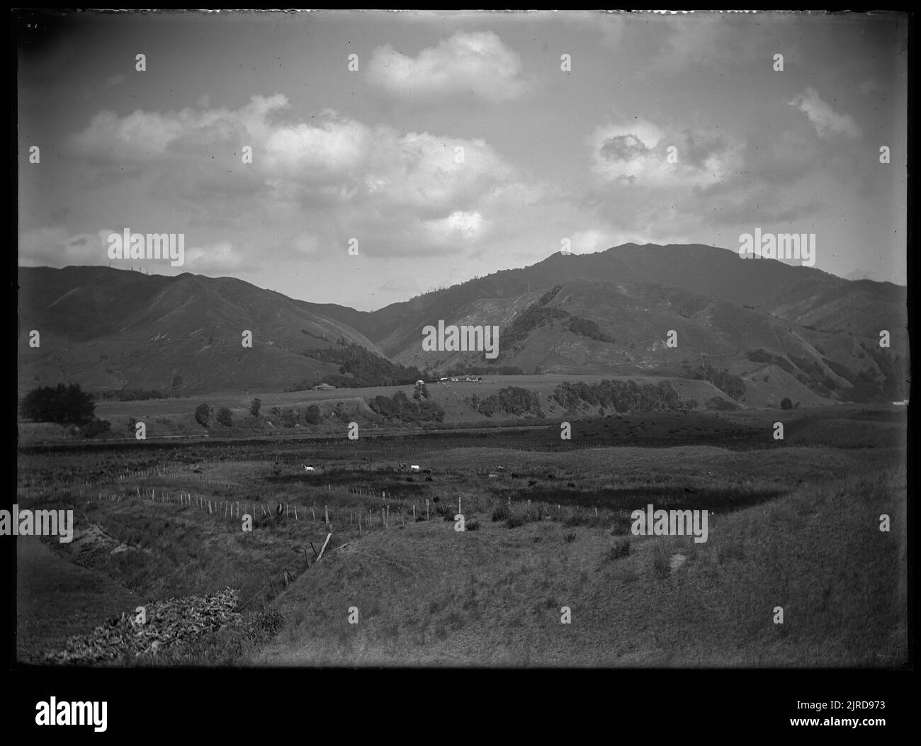 Plimmerton new zealand hi-res stock photography and images - Alamy