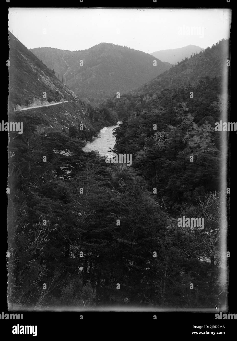 Road down the Buller., February 1912, South Island, by Leslie Adkin ...
