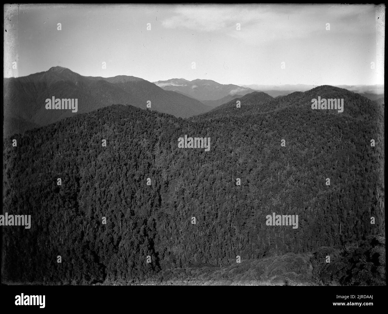 George Leslie Adkin collection, by Leslie Adkin Stock Photo - Alamy