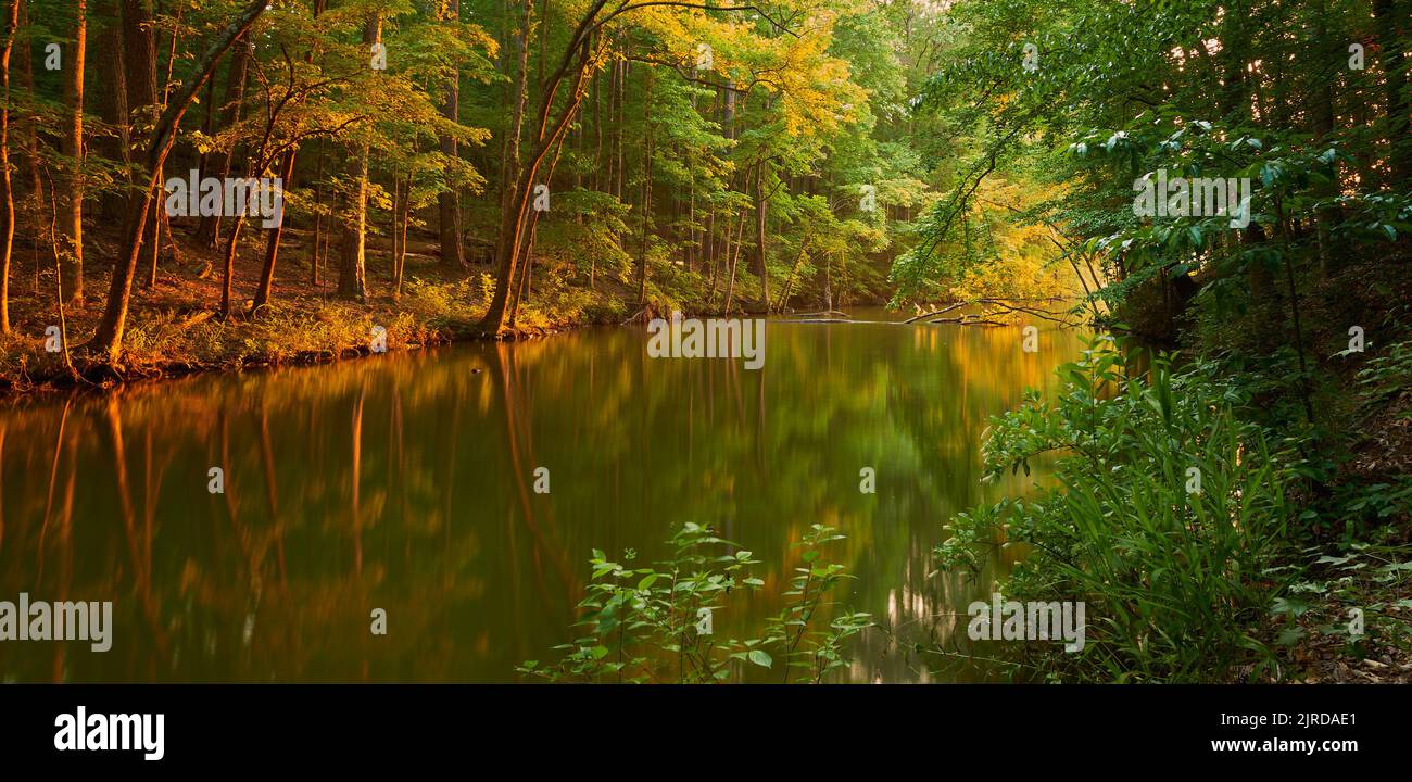 Reflections in forest lake hi-res stock photography and images - Alamy