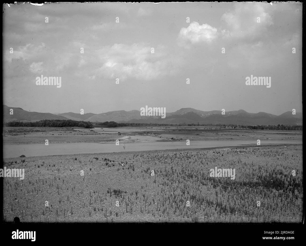 Woodville pahiatua hi-res stock photography and images - Alamy