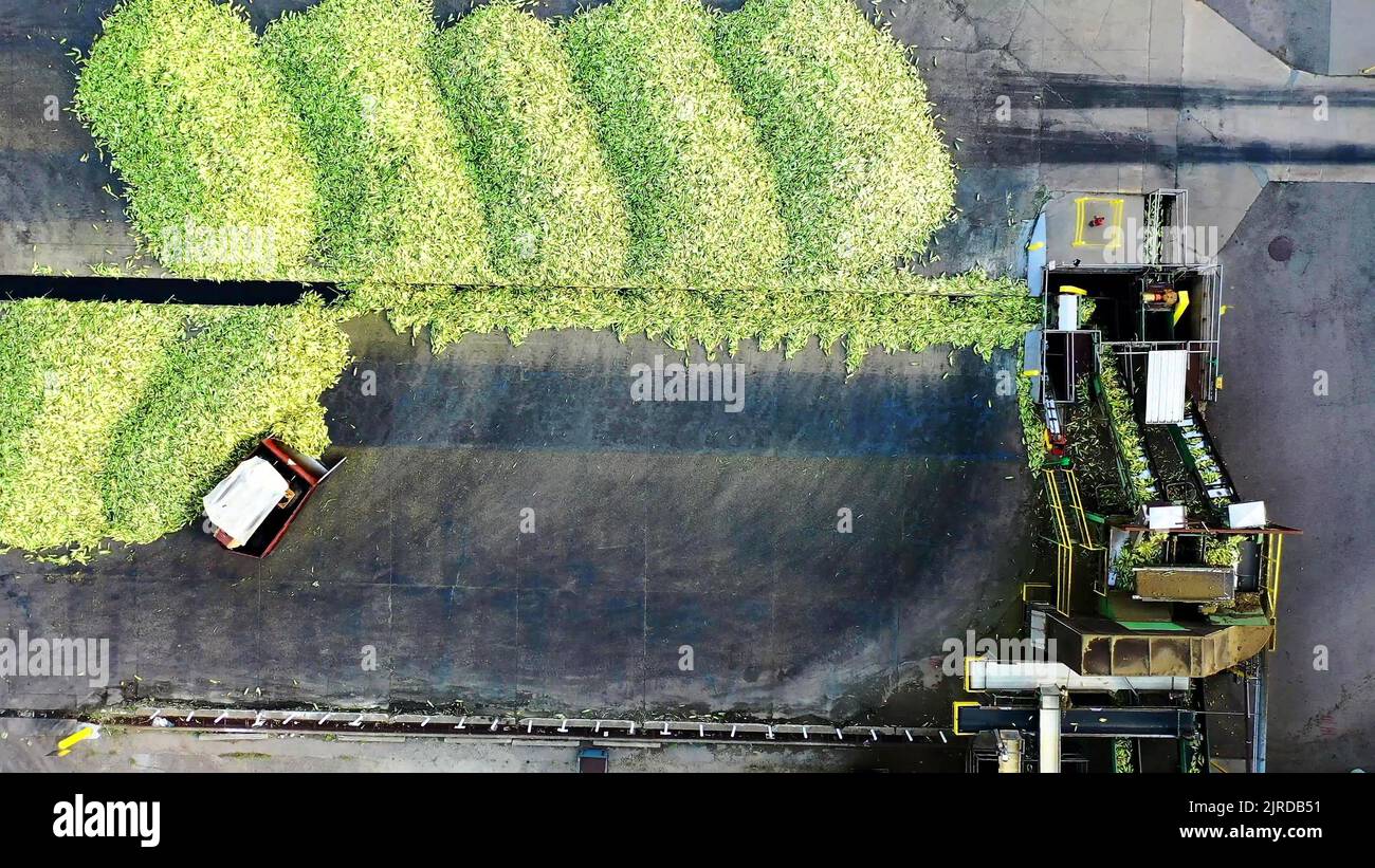 Corn processing hi-res stock photography and images - Alamy