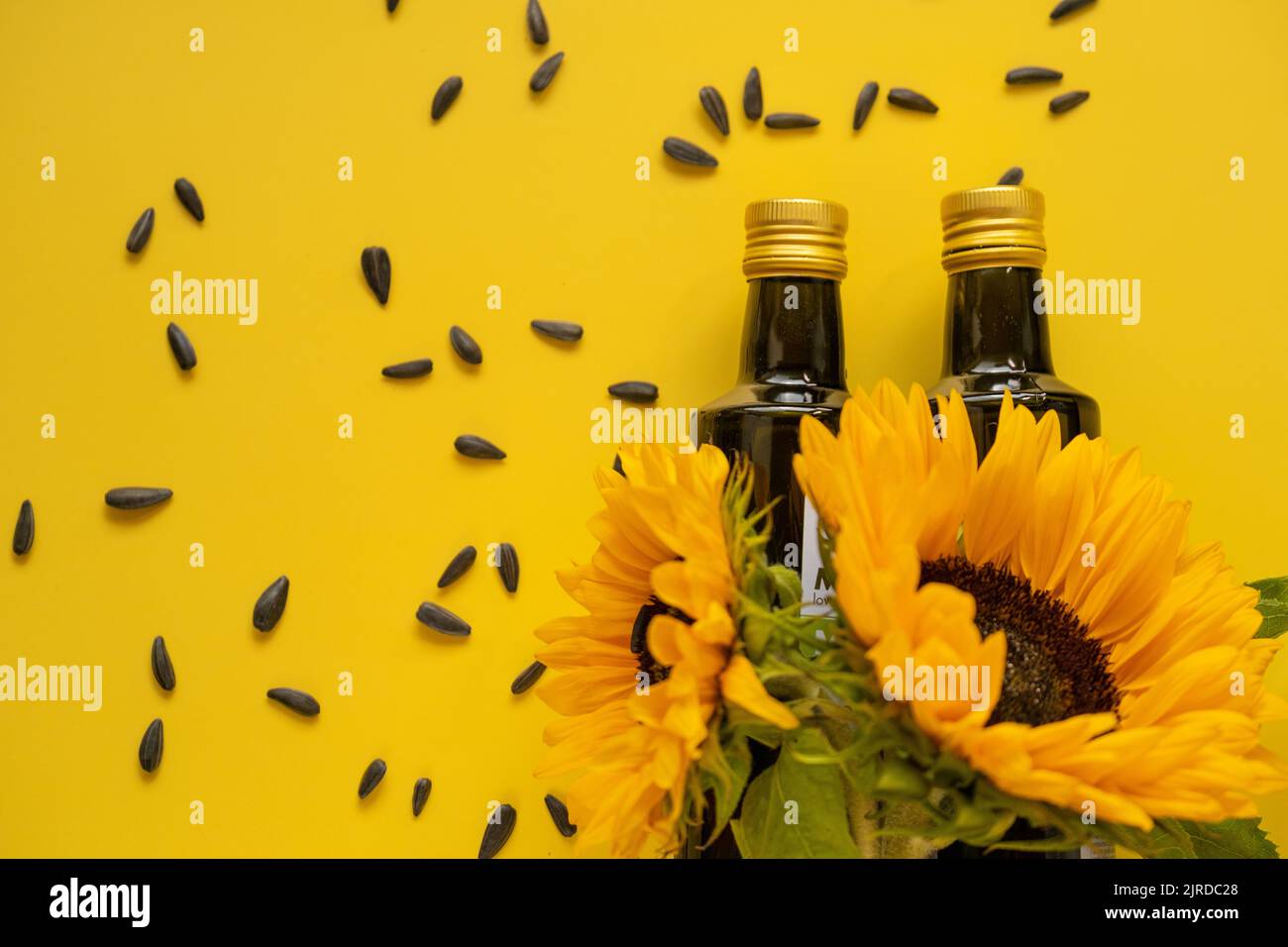 Oil bottles, scattered black sunflower seeds and sunflowers blooming on ...