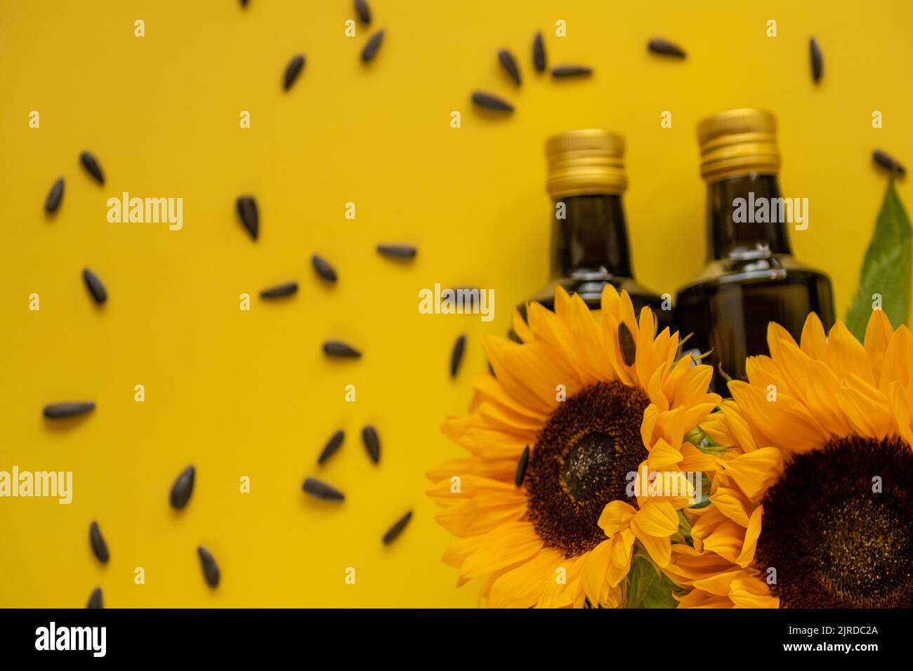 Sunflower oil. Oil bottles, scattered black sunflower seeds and ...