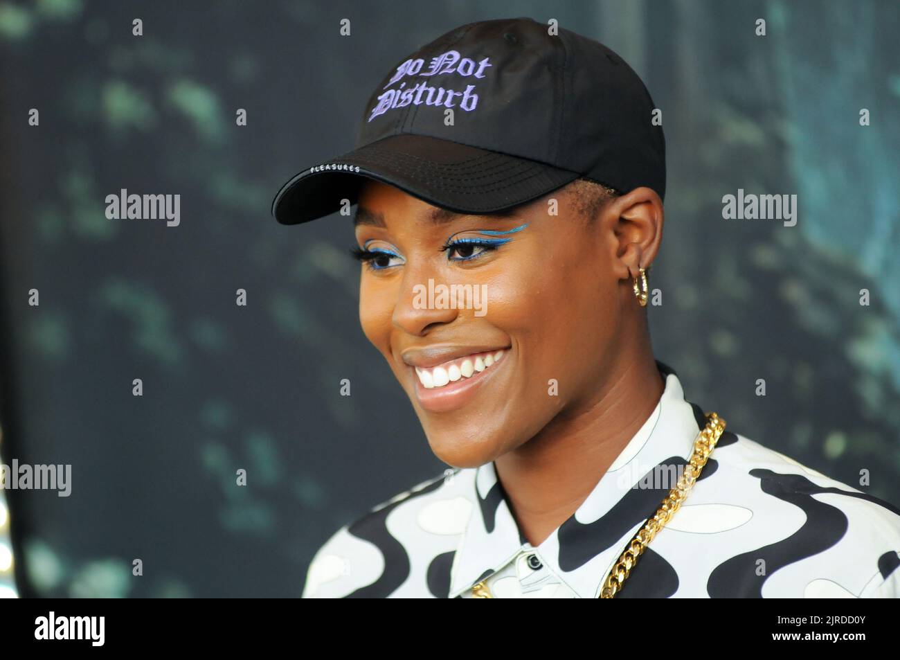 New York, United States. 23rd Aug, 2022. Jerrie Johnson attends 'The ...