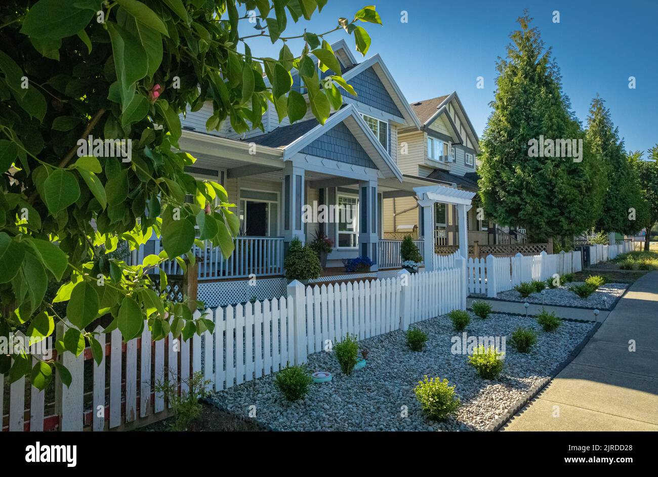 Green city street with walkway in residential area in sunny summer day ...