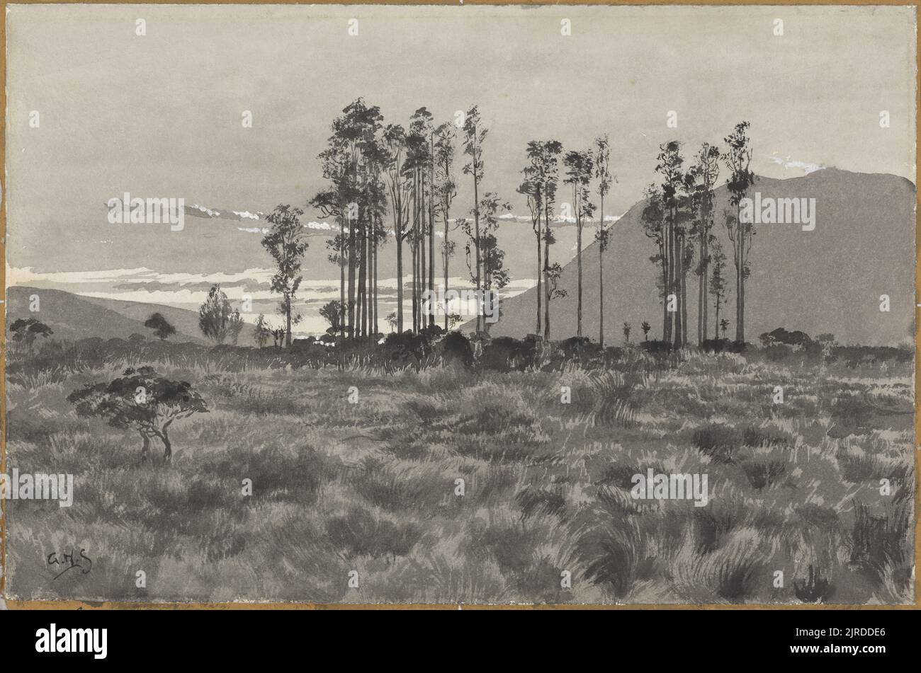 Westland poerua estate hi-res stock photography and images - Alamy