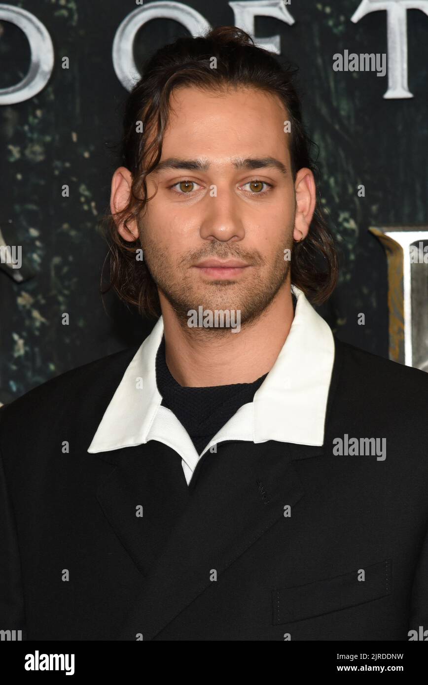 Maxim Baldry attends 'The Lord of the Rings: Rings of Power' TV show ...