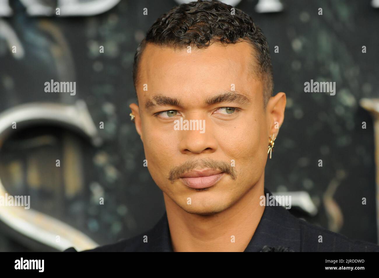 Ismael Cruz Cordova attends 'The Lord of the Rings: Rings of Power' TV ...