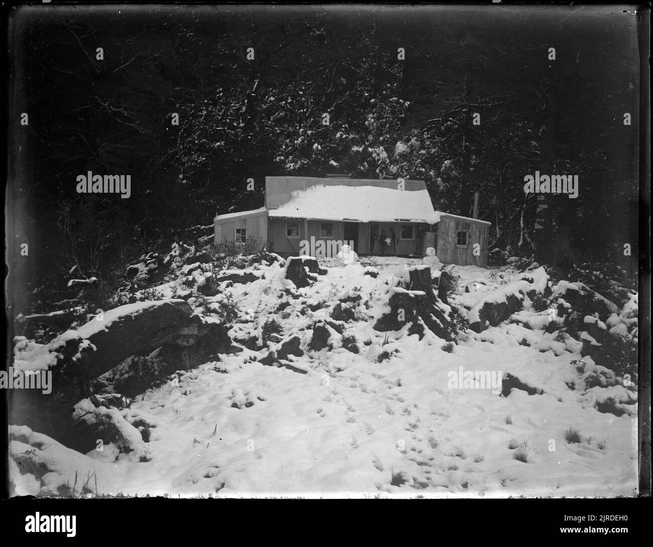 Hut on Mount Holdsworth, New Zealand, by Fred Brockett Stock Photo - Alamy