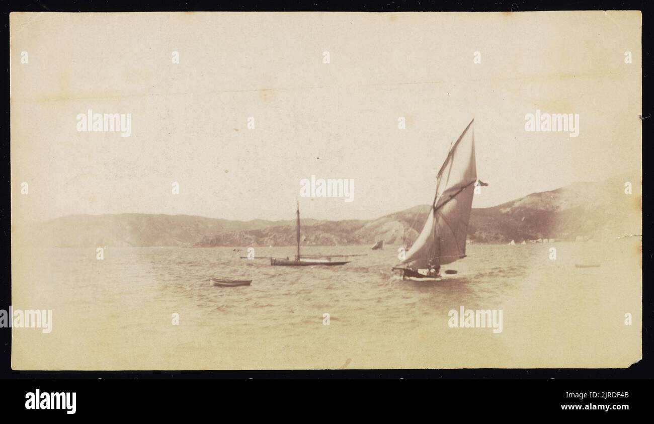 Yachts on Wellington Harbour, 1880s, Wellington, by Arthur Bothamley ...