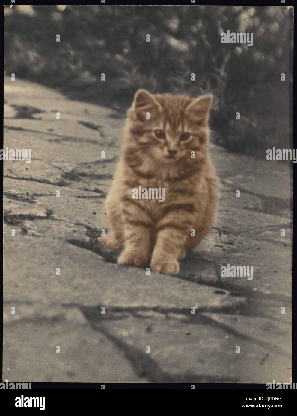 Circa 1935 1939 hi-res stock photography and images - Alamy