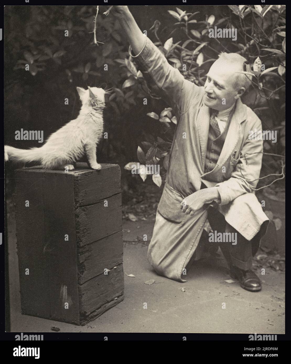 Man with a kitten, circa 1935-1939, United Kingdom, by Marion Queenie ...