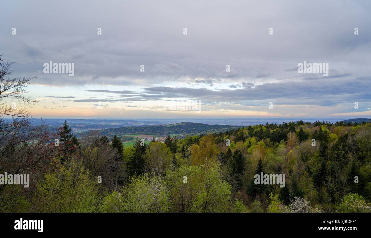 German forest photographed in Bavaria Nature Park Stock Photo - Alamy