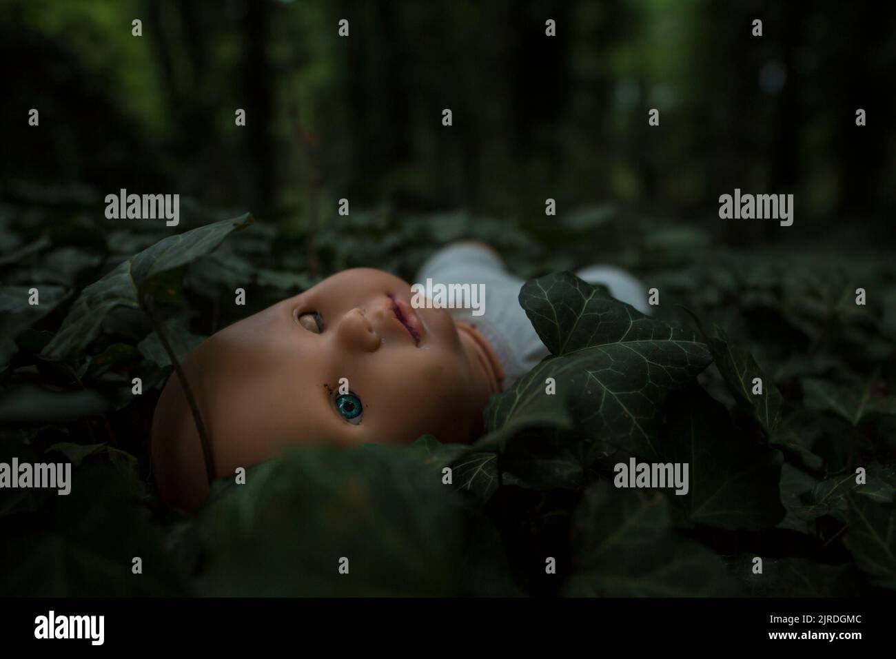 Dark scene of close up of child scary dolly in deep woods just before ...