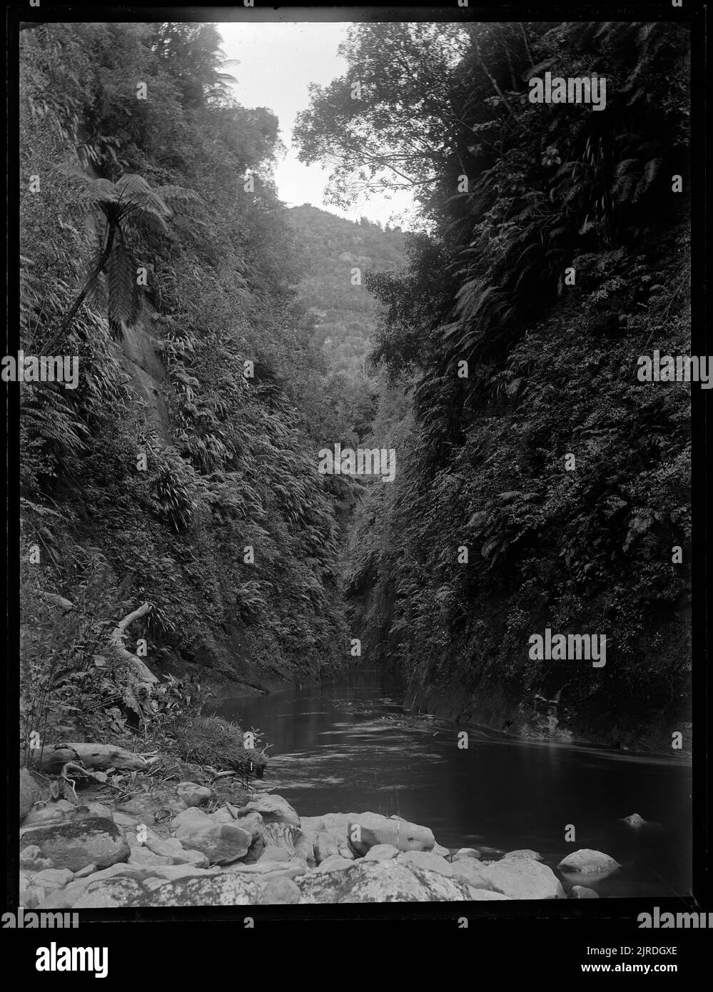 Stream in a gorge, circa 1935, New Zealand, by Gordon Burt, Gordon H ...