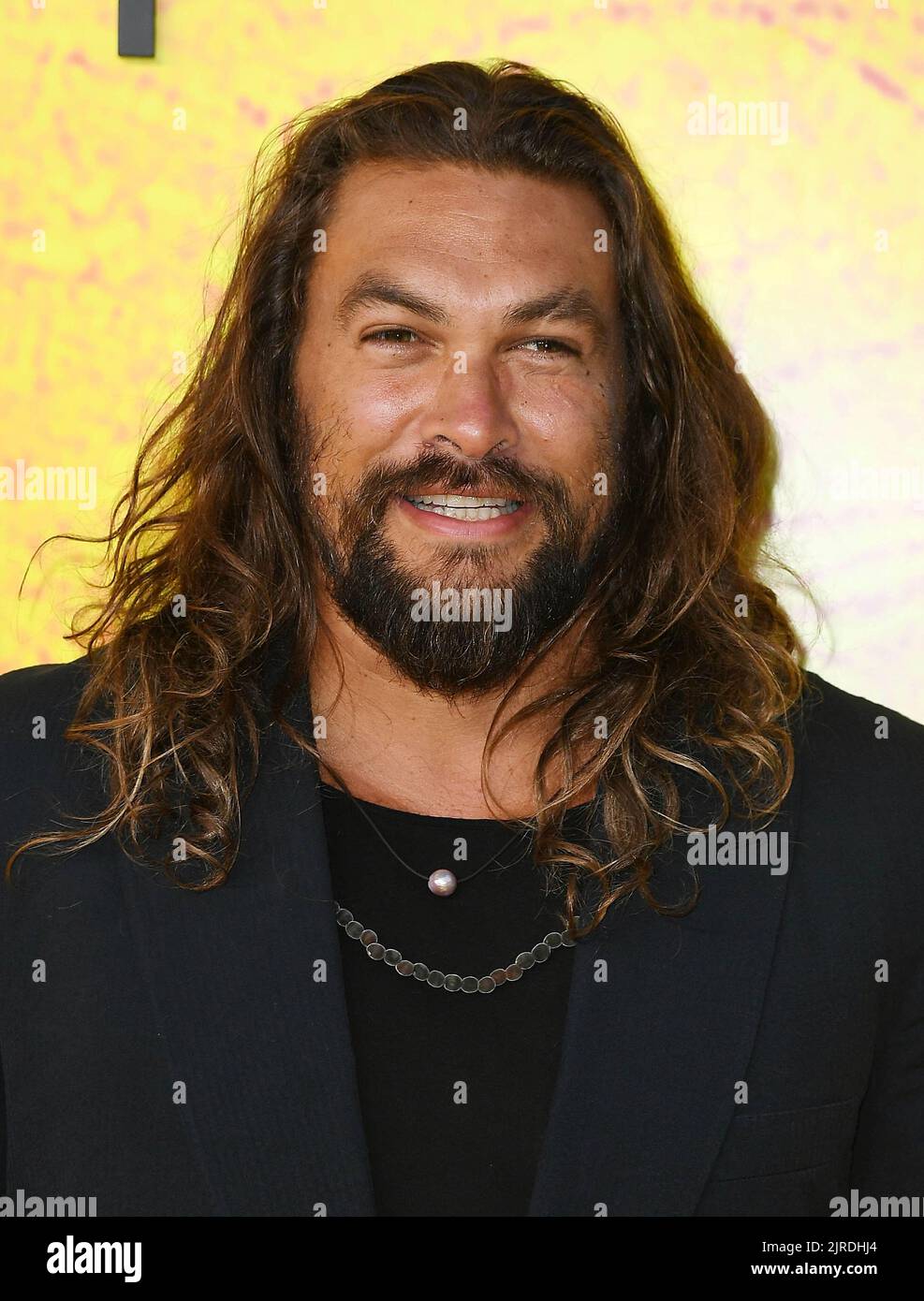 Los Angeles, USA. 23rd Aug, 2022. Jason Momoa at Apple TV Original ...