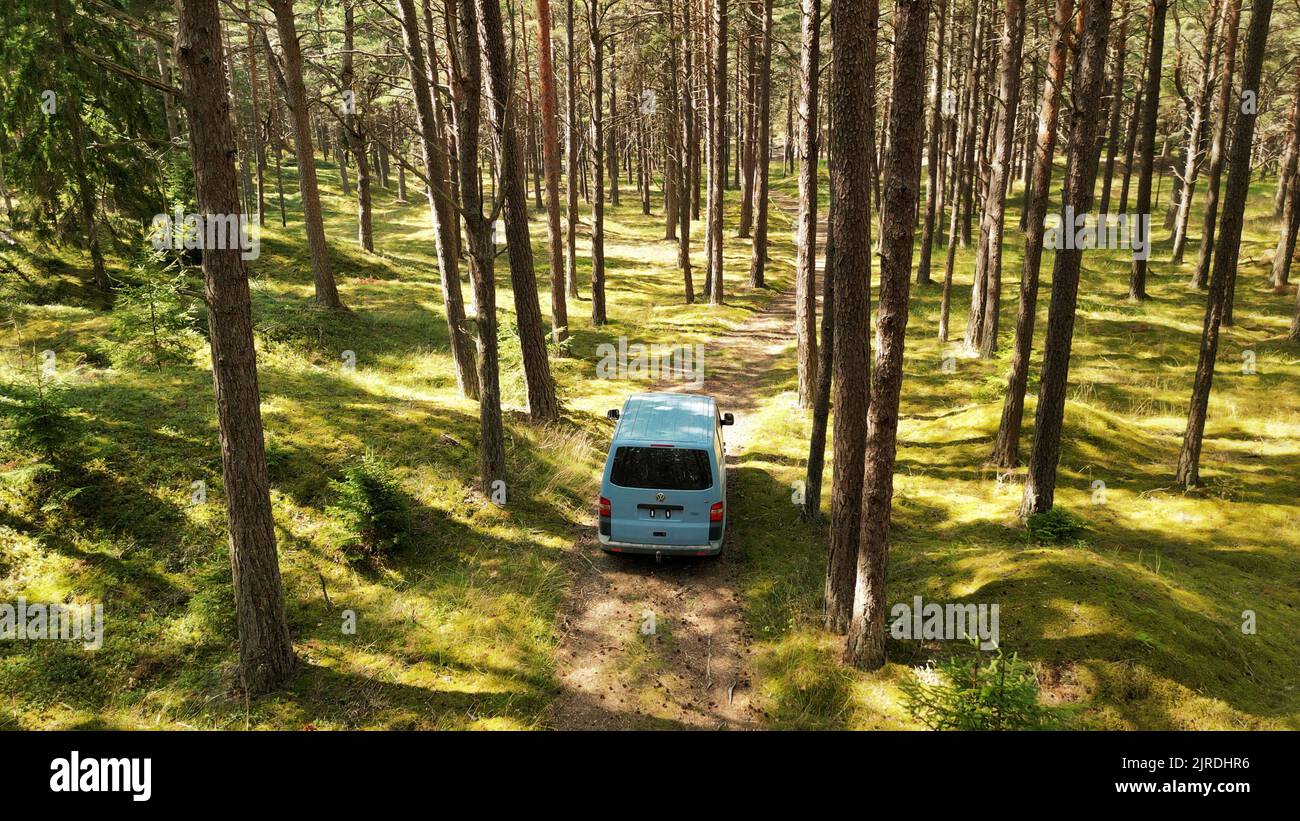 Van car driving through green, lush forest in summertime, traveling by ...