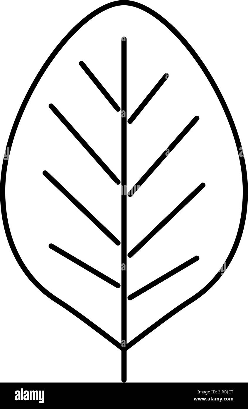 teak leaf line icon vector illustration Stock Vector Image & Art - Alamy