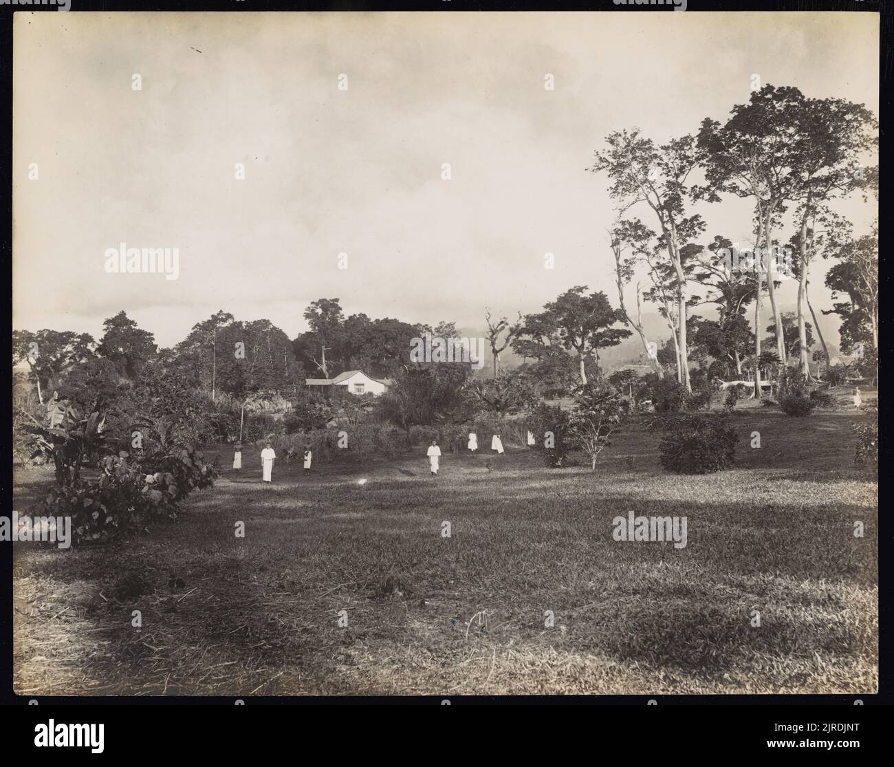 Avele Park, Avele, by Alfred James Tattersall. Gift of Barbara Williams ...