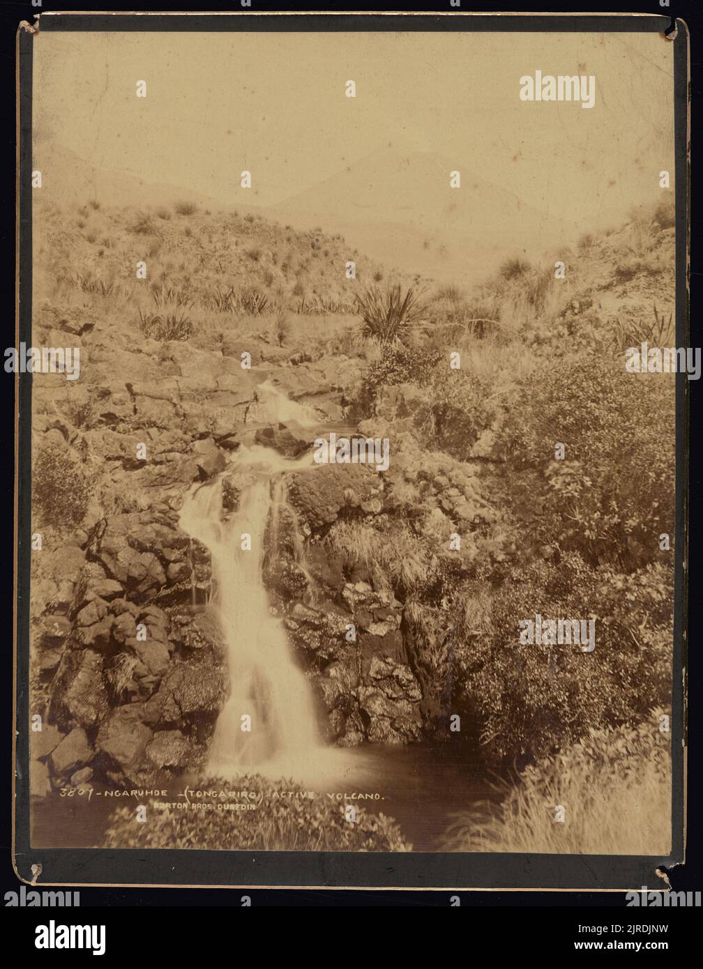 Dunedin volcano hi-res stock photography and images - Alamy