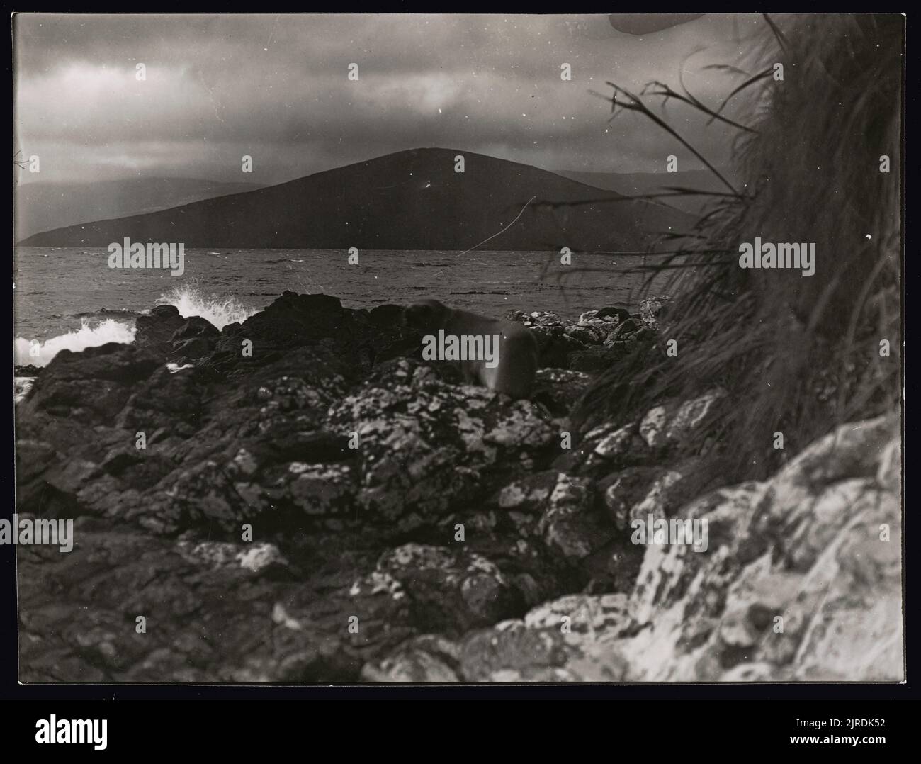 Musgrave peninsula musgrave peninsula hi-res stock photography and ...