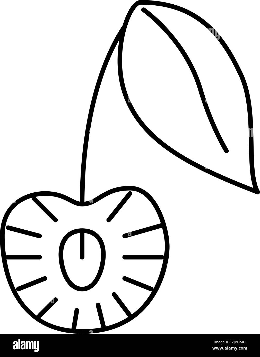 cut cherry line icon vector illustration Stock Vector Image & Art - Alamy
