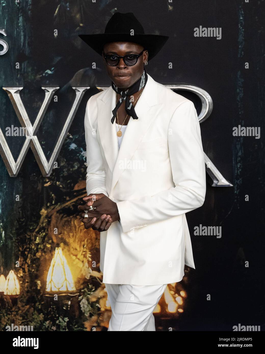 New York, USA. 23rd Aug, 2022. Roze Traore attends the New York special ...