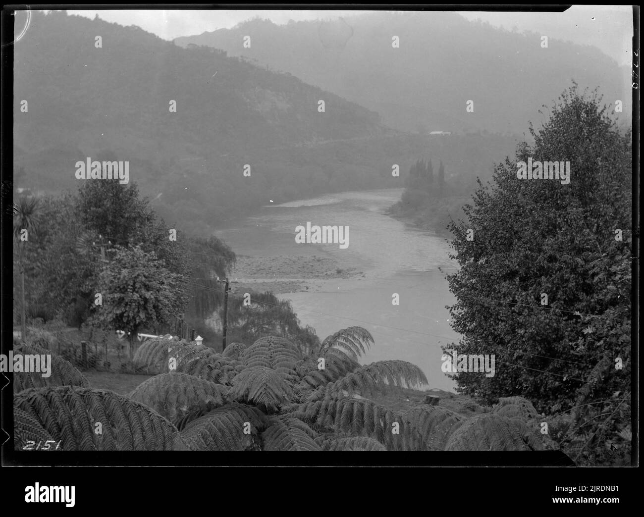 Whanganui River at Pipiriki, Circa 1920, by James McDonald Stock Photo ...