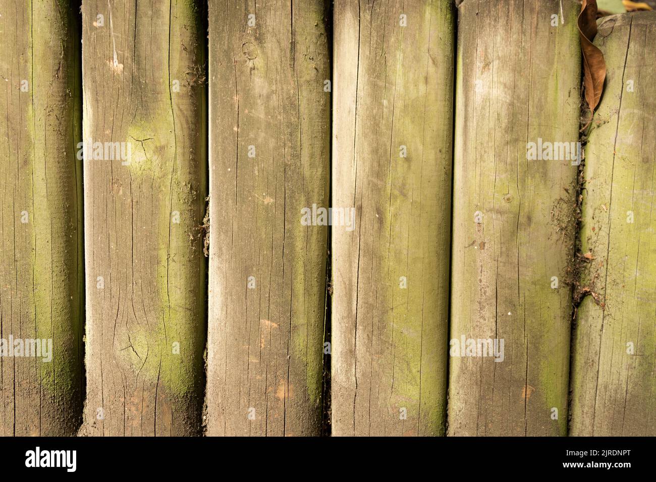 Close up of several chemically treated vertical green wooden posts side ...