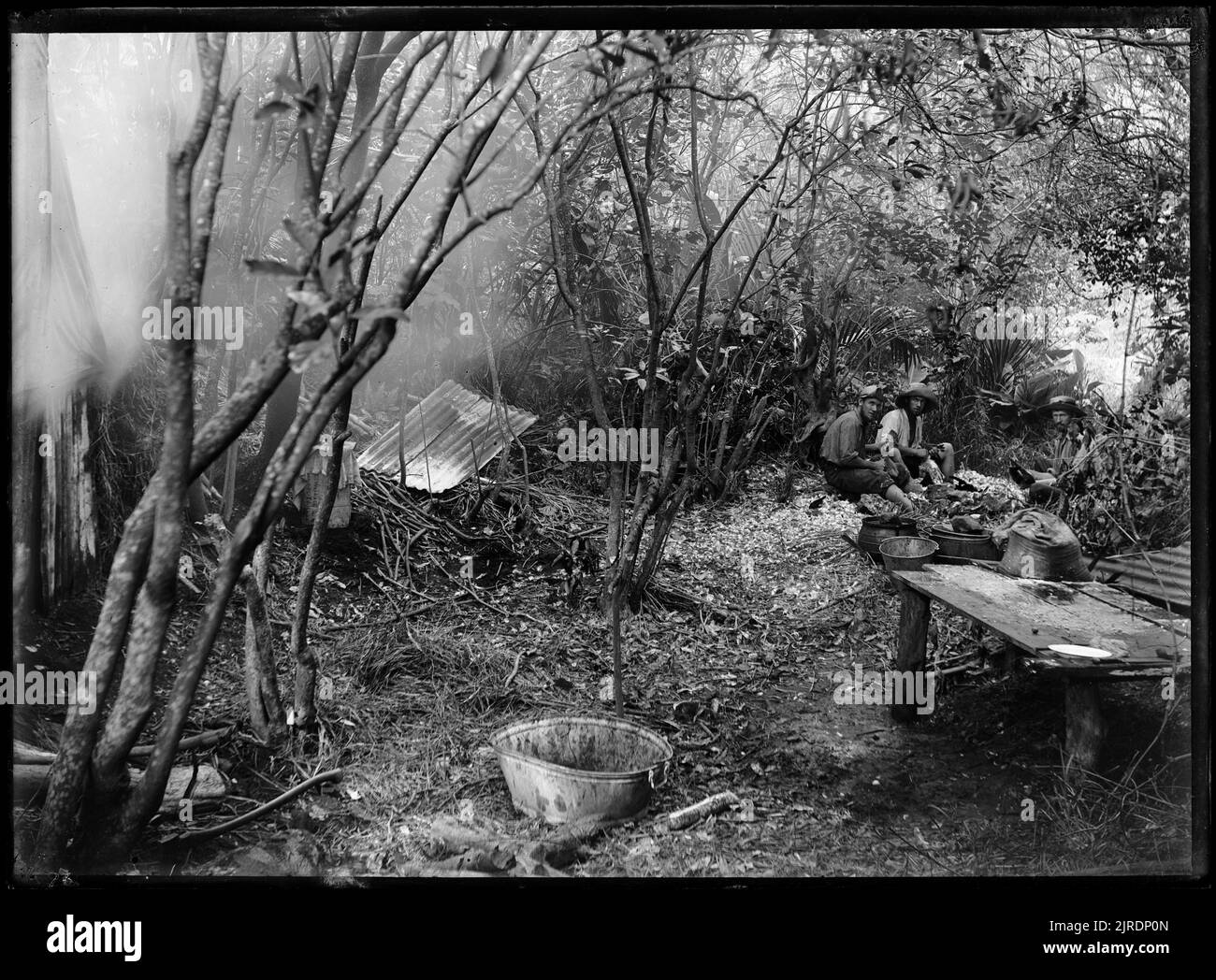 Mutton birding hi-res stock photography and images - Alamy