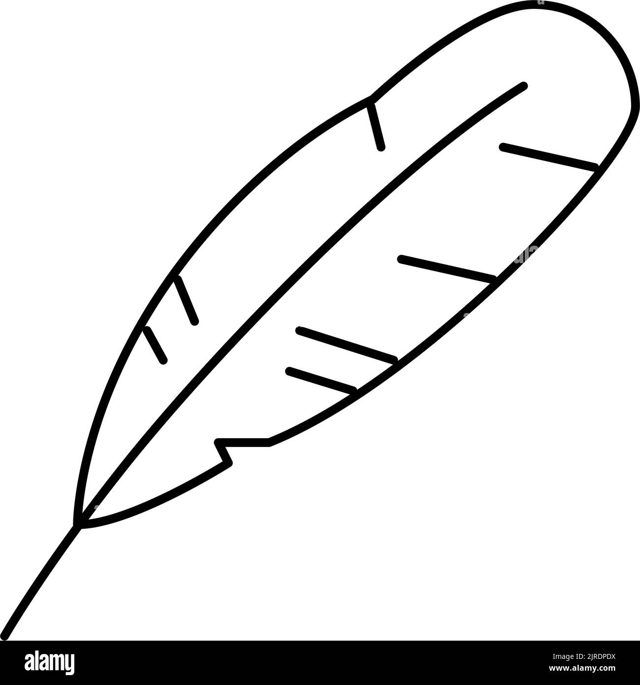 swan feather soft fluffy line icon vector illustration Stock Vector ...