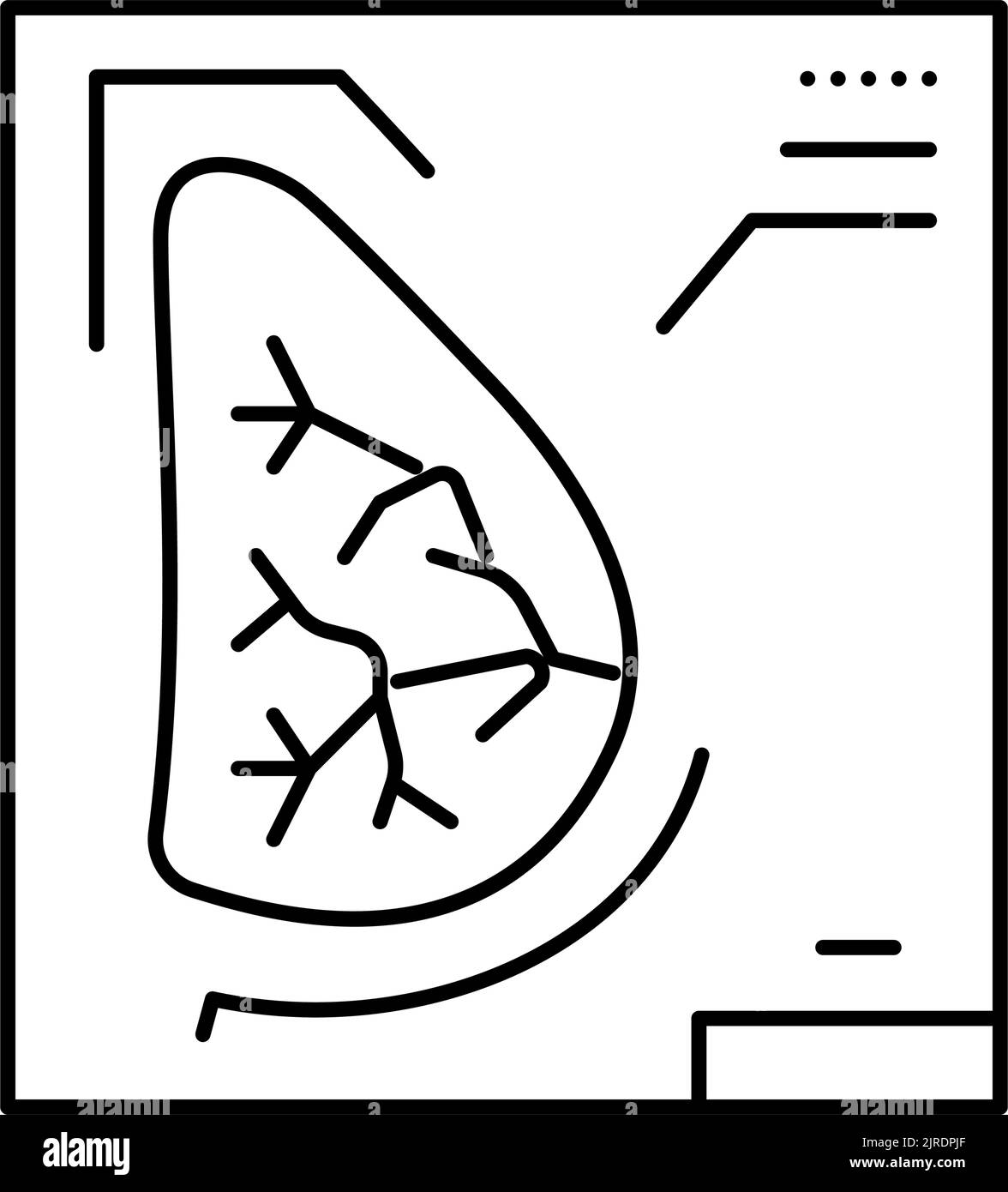 mammogram health check line icon vector illustration Stock Vector Image ... mammogram health check line icon vector illustration Stock Vector Image ...