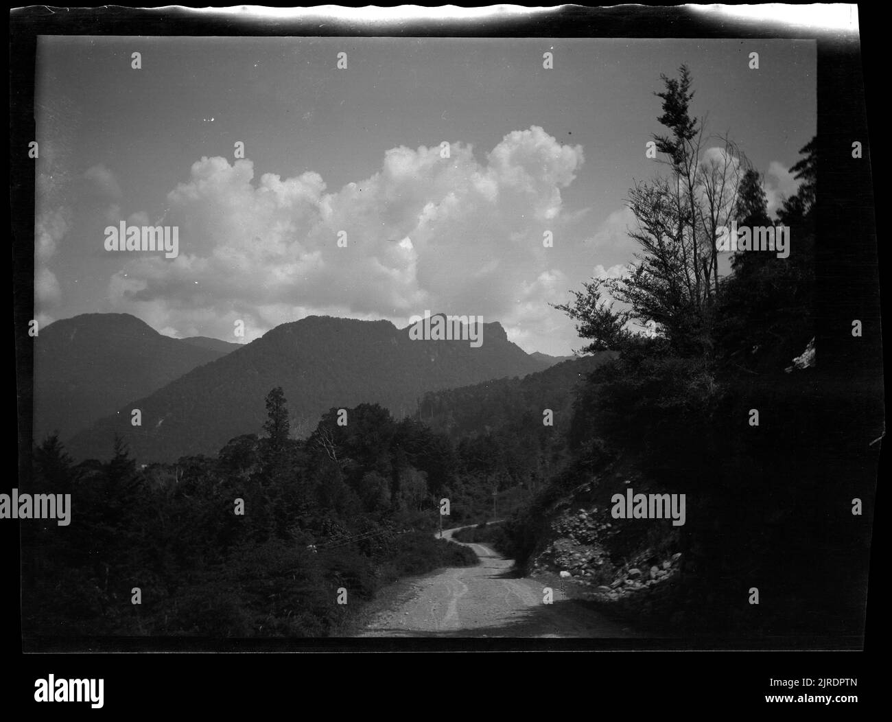 Buller Road, 1906, by Fred Brockett Stock Photo - Alamy