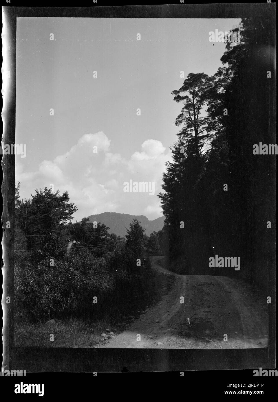 Buller Road, 1906, by Fred Brockett Stock Photo - Alamy