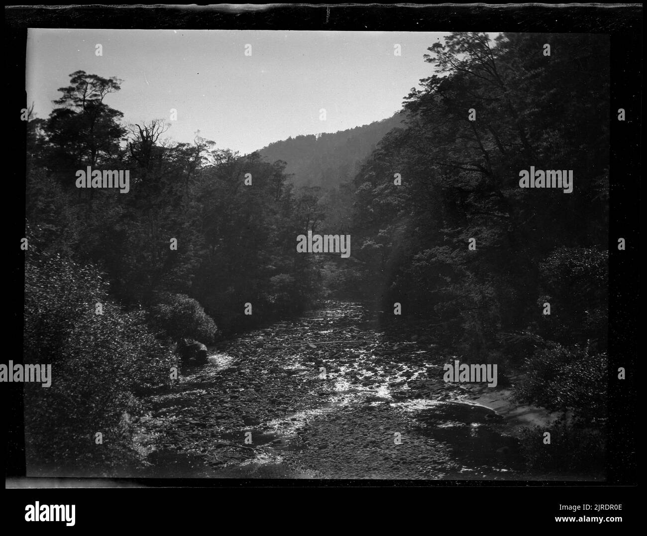 Hope River, Nelson, 1906, by Fred Brockett Stock Photo - Alamy