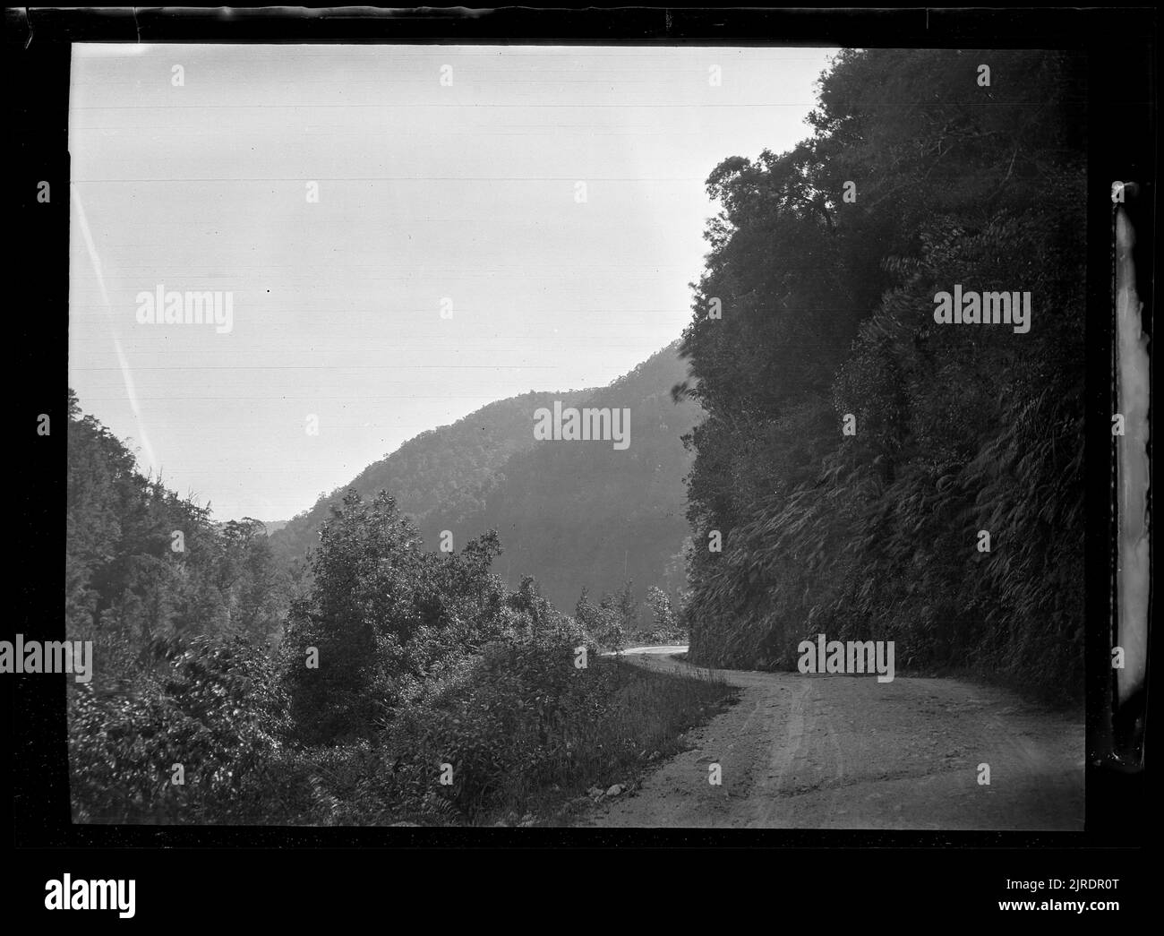 Buller Road, 1906, by Fred Brockett Stock Photo - Alamy