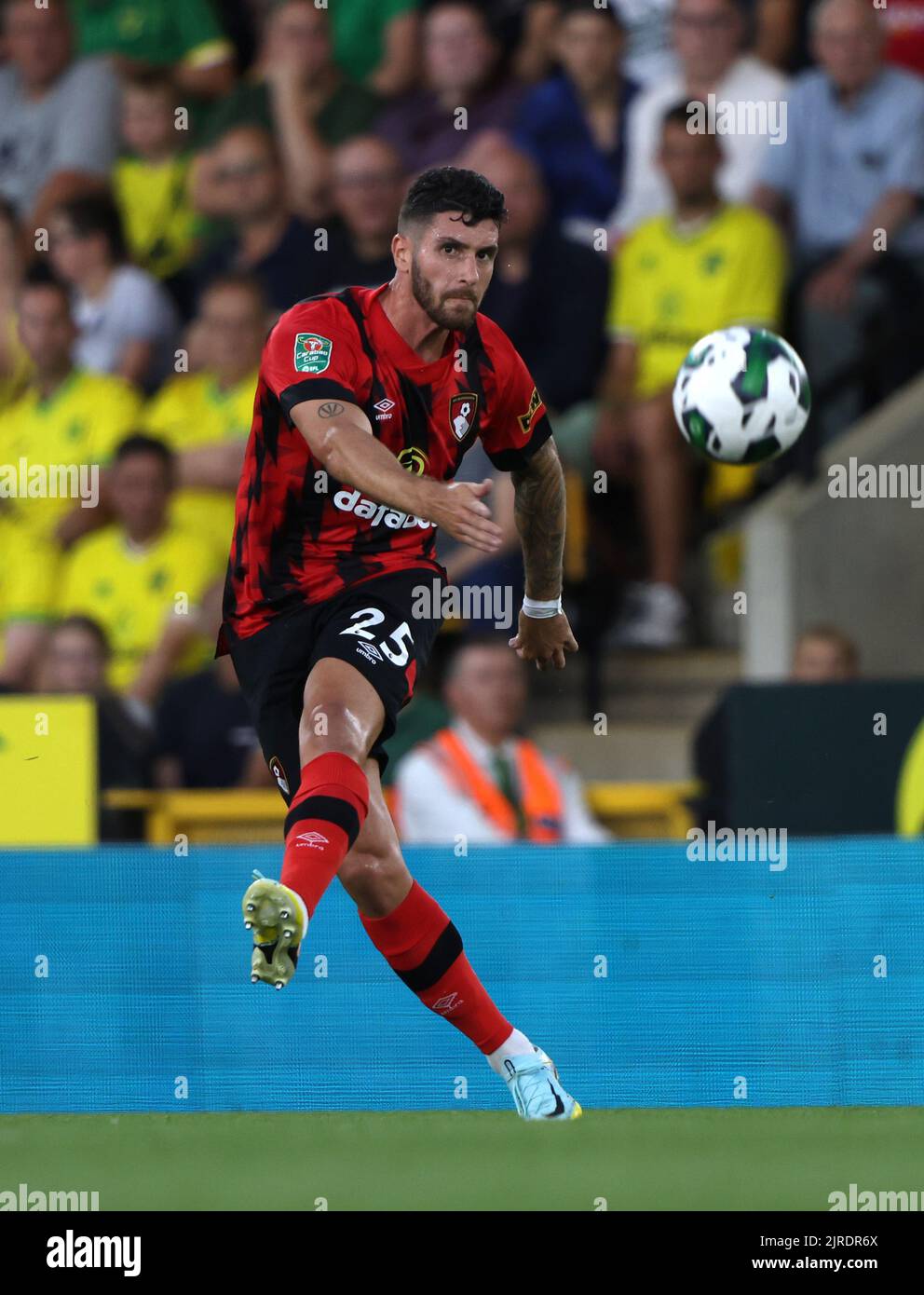 Norwich, UK. 23rd Aug, 2022. Marcos Senesi (AFC B) at the Norwich City ...